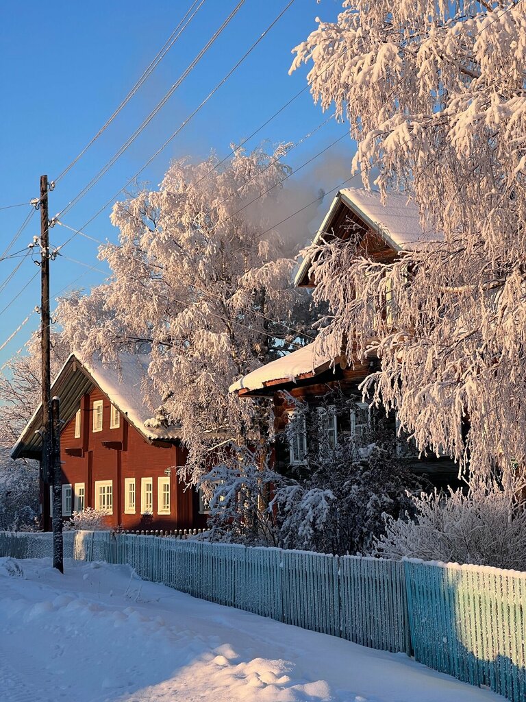 Otel У бабушки в деревне, Arhangelskaya oblastı, foto