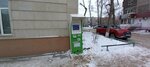 Qiwi (Internatsionalnaya Street No:59), ödeme terminali  Petropavl'dan (Petropavlovsk'tan)