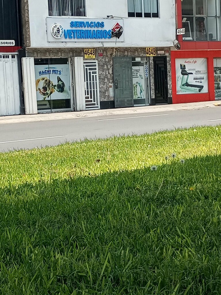 Veteriner klinikleri Veterinaria Hachi Pets, Lima, foto