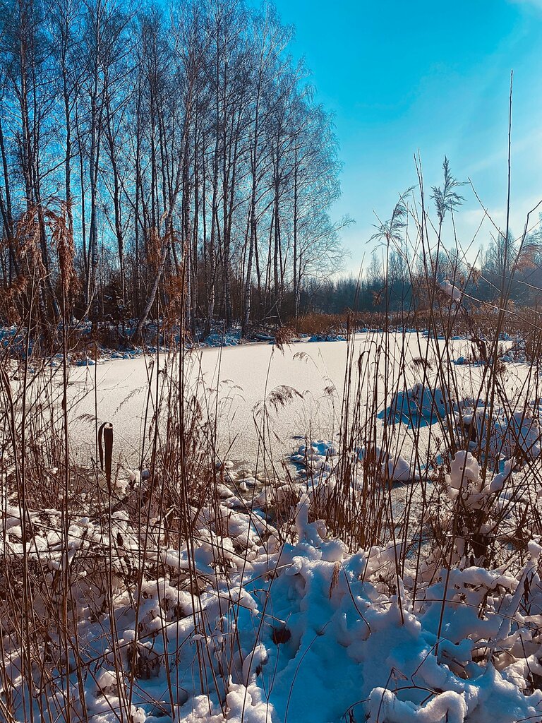 Pınar, çay Святой источник Параскевы Пятницы, Vitebskaya oblastı, foto