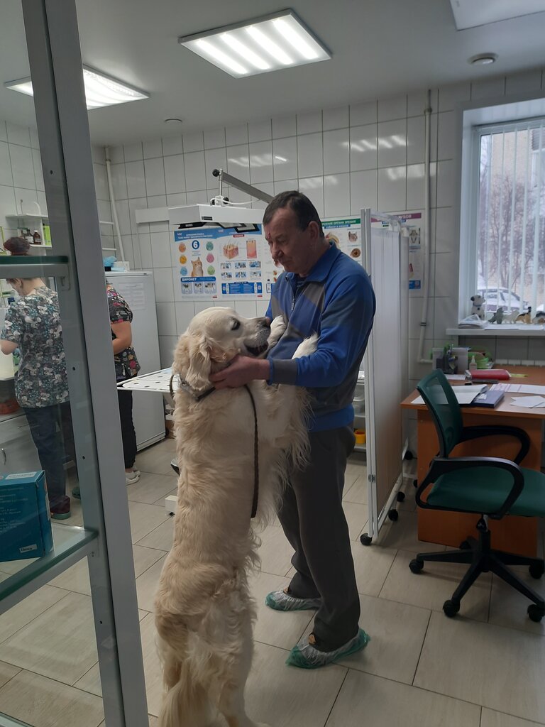 Veteriner klinikleri Айболит, Krasnoufimsk, foto