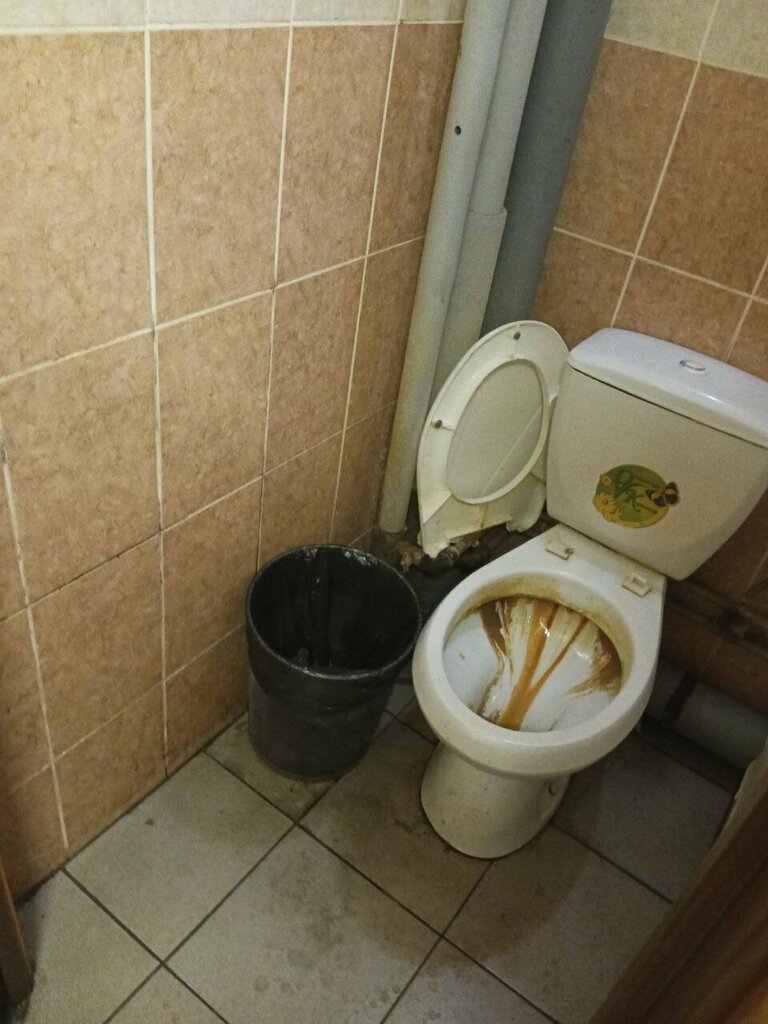 Yurtlar Общежитие, корпус Г, Moskova, foto
