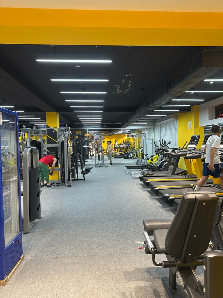 Spor ve jimnastik salonları Gladiator Gym, Taşkent eyaleti, foto