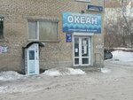 Океан (prospekt imeni Yu.A. Gagarina, 8-ya liniya No:10), market  Zlatoust'tan