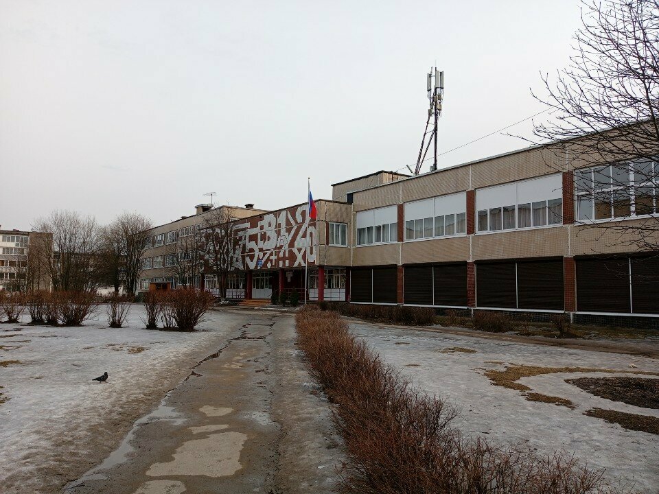 Spor okulları Sambo, Cherepovets, foto