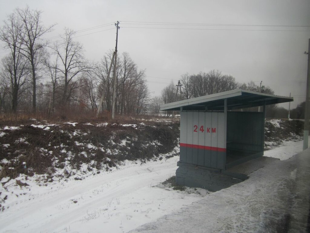 Tren istasyonu остановочный пункт 24 километр, Orlovskaya oblastı, foto