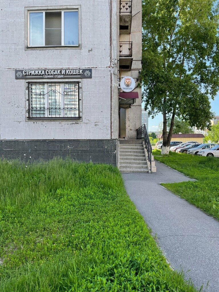 Evcil hayvan kuaförleri SnoopDog, Novokuznetsk, foto