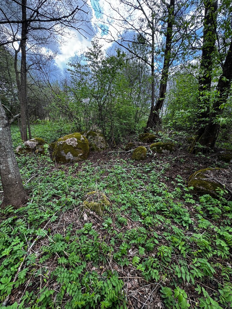 Turistik yerler Языческое капище, Vitebskaya oblastı, foto