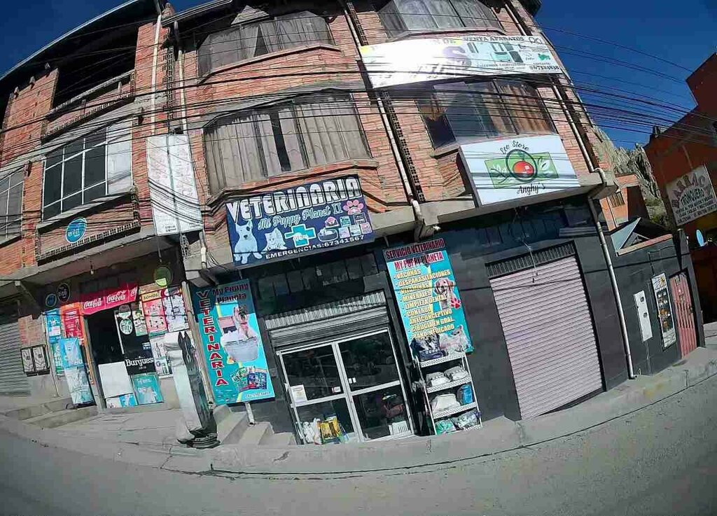 Veteriner klinikleri My Puppy Planet II, La Paz, foto