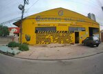 Caceres Cia (Santa Cruz de la Sierra, Distrito Municipal 1, Subdistrito 56, Avenida Doctor Napoléon Gómez L.), oto döşeme  Santa‑Krus'tan