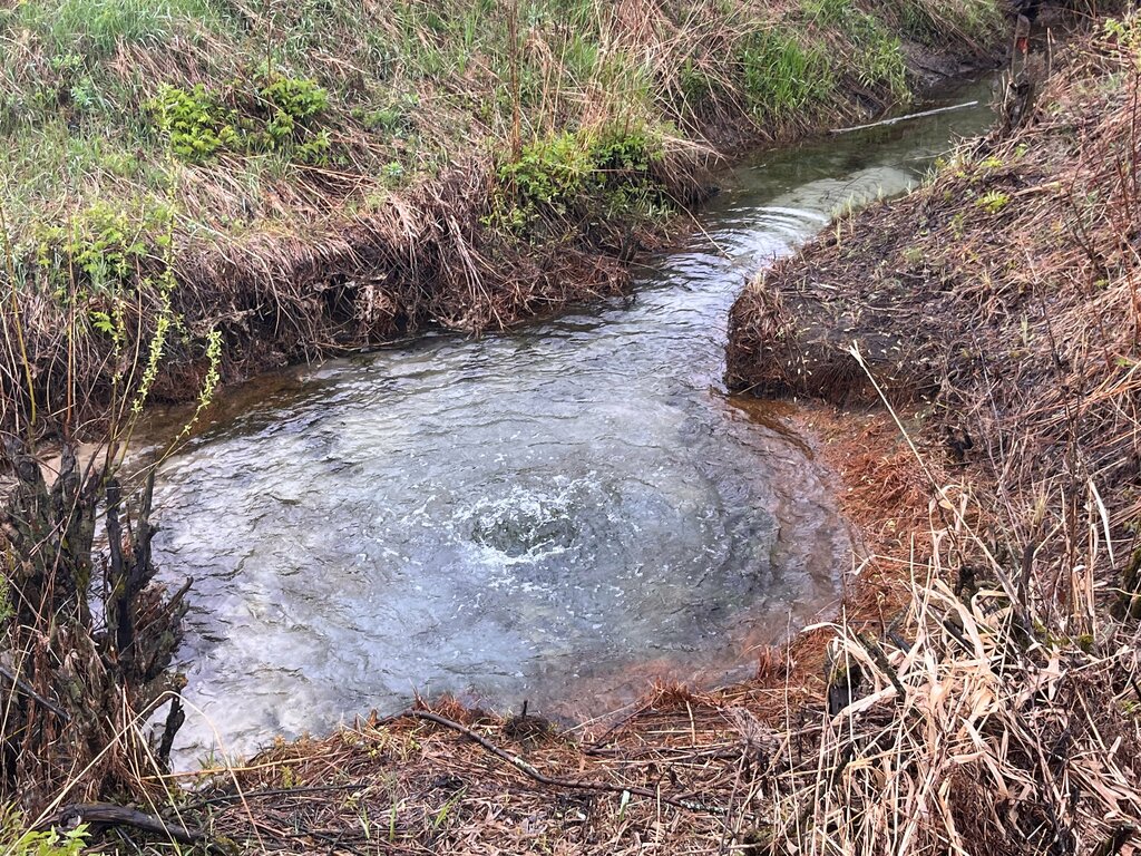 Pınar, çay Spring, stream, Vladimir, foto