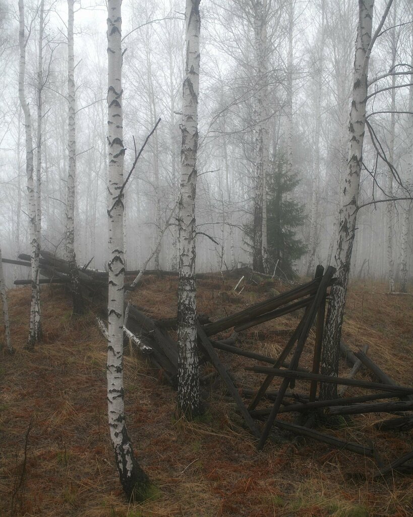 Dağ zirvesi Гора Гороховая, Çeliabinskaya oblastı, foto