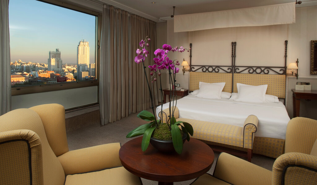 Otel Hotel Princesa Plaza Madrid, Madrid, foto