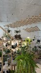 Jungle studio (ulitsa Parkhomenko No:156Г), çiçekçiler  Ufa'dan