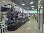 Corona Store (No:8Г, 6-y mikrorayon), cep telefonu aksesuarları  Sosnogorsk'tan