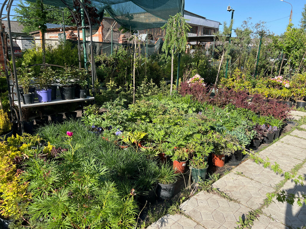 Sera ve bahçe ürünleri Садовый центр, Moskova ve Moskovskaya oblastı, foto