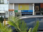 Gane Services (Valle del Cauca, Municipio de Santiago de Cali, Avenida Alfonso Bonilla Aragon, 44-24), masa oyunları ve zeka geliştirici oyunlar