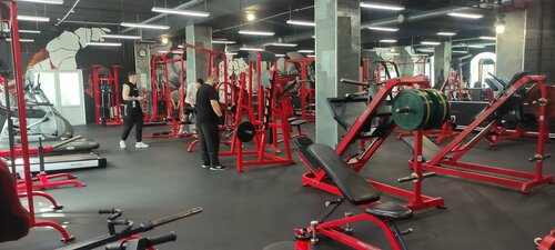 Spor ve jimnastik salonları Baza, Briansk, foto