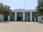 City Sports School of Termez (Surkhandarya Region, Termez, Shodlik mahalla fuqarolar yigʻini), spor okulları  Termez'den
