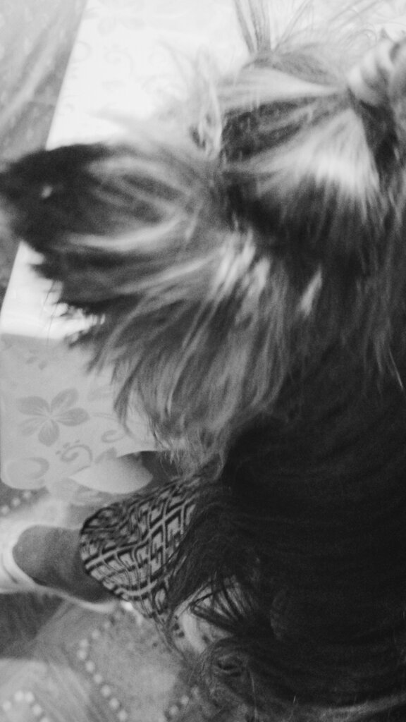 Veteriner klinikleri Тарногская районная станция по борьбе с болезнями животных, Vologodskaya oblastı, foto