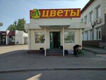 Dom tsvetov (No:25, 13-y mikrorayon), çiçekçiler  Angarsk'tan