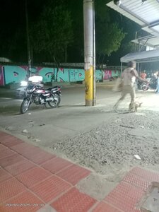 San José De Siloé Cemetery (Valle del Cauca, Municipio de Santiago de Cali, Diagonal 51), mezarlıklar  Cali'den