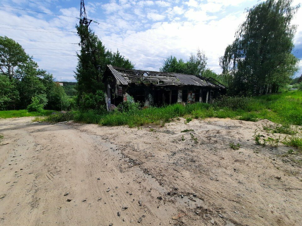 Şehir planlama Цветочный Питомник, Пмуп по Благоустройству и Озеленению, Petrozavodsk, foto