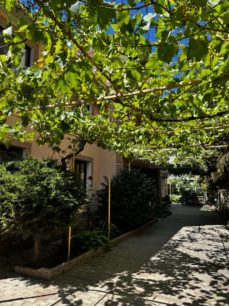 Otel Пансионат Александрия, Kırım Cumhuriyeti, foto