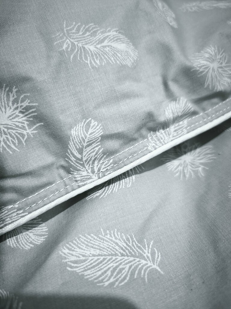 Kuru temizlemeciler Гарант Чистоты, Omsk, foto