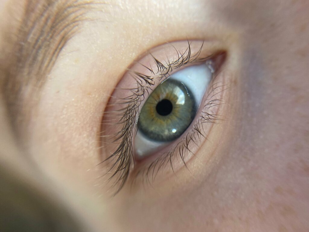 Kaş ve kirpik salonu Anasteishen, Bataysk, foto