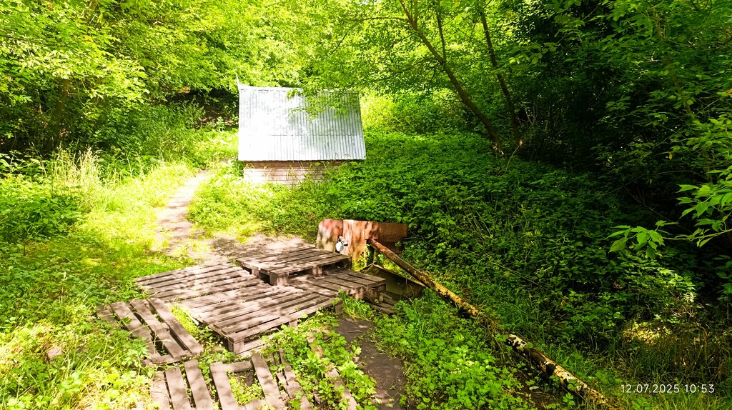 Pınar, çay Святой источник, Lipetskaya oblastı, foto