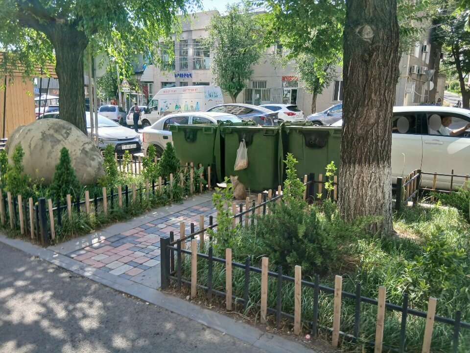 Ayrı çöp toplama noktası Waste sorting point, Erivan, foto