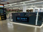 Бегемот (Poletaeva Street No:6Д), diskler, plakalar  Vladivostok'tan