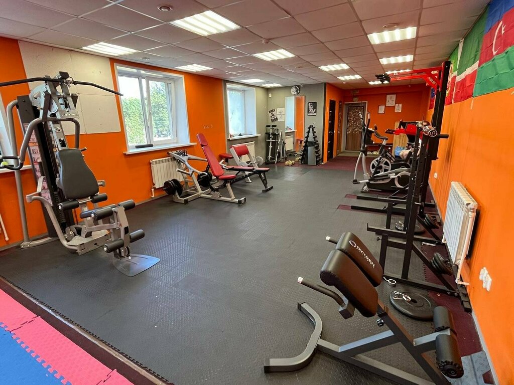 Spor ve jimnastik salonları Ares, Samara, foto