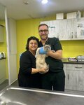 Lariavet (İstanbul, Bayrampaşa, Demirkapı Cad., 3), veteriner klinikleri  İstanbul'dan