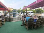 Balci (Antalya, Alanya, Oba Mah., 30. Sok., 23/B), bar  Alanya'dan