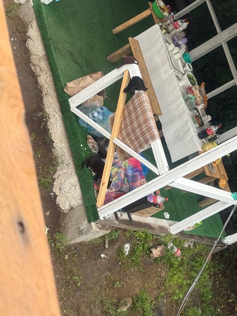 Resort oteller, tesisler U Yerke, Akmola eyaleti, foto