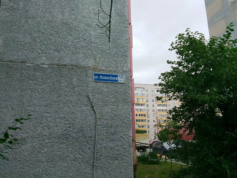 Terziler Довольный слон, Tiumen, foto