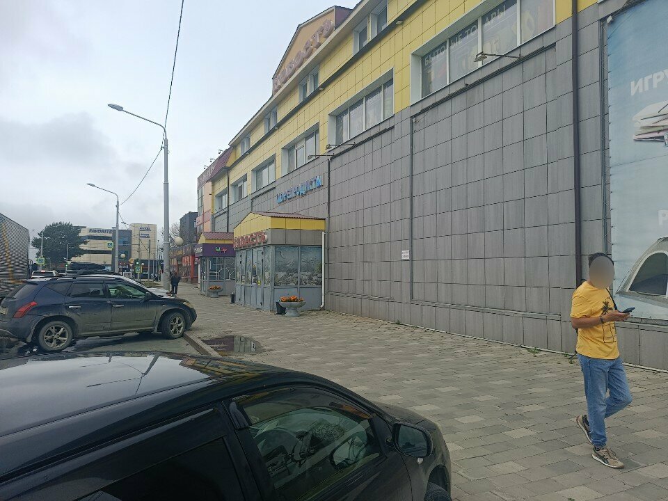 Ödeme terminali Payment terminal, Sakhalinsk, foto