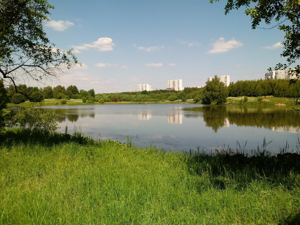 Plaj Битцевский пляж, Moskova, foto
