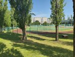 Футбольное поле (Voronezh Region, Novovoronezh, 7-y mikrorayon), spor alanı  Novovoronej'den