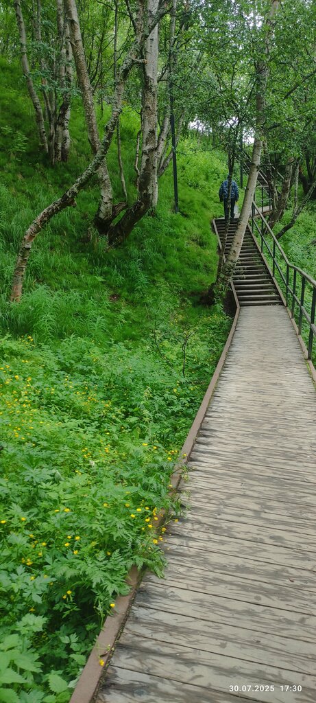 Pınar, çay Spring, stream, Murmanskaya oblastı, foto