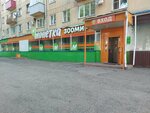Зоомир (prospekt Sovetskoy Armii No:33), petshop  Novokuznetsk'ten