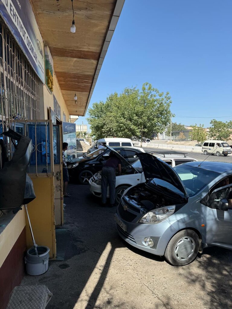 Otomobil servisi Селиски, Semerkant eyaleti, foto