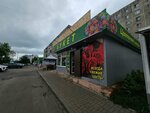 Цветы (Razdolnaya ulitsa No:84Г, Oryol), çiçekçiler  Orel'den