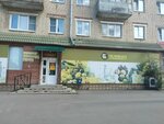 Юmoney (Gorkogo Street No:31), ödeme terminali  Tolyatti'den (Togliatti'den)