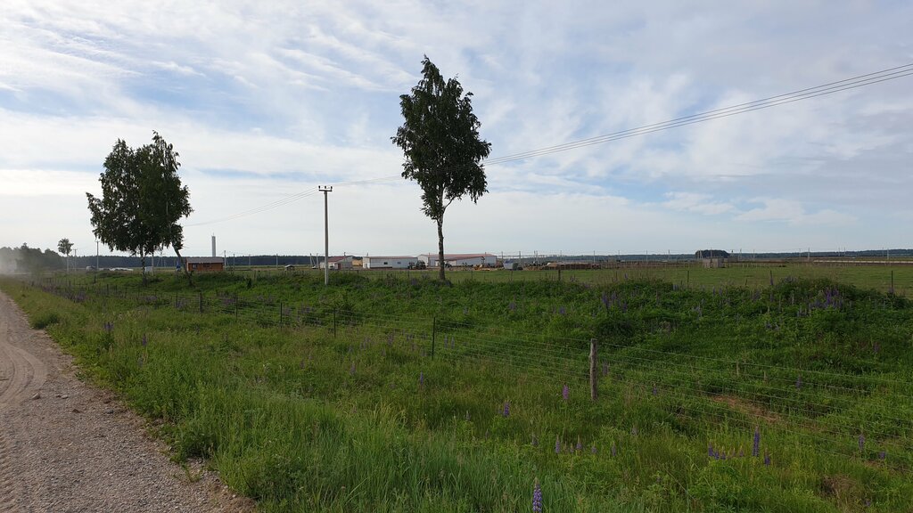 Gıda üreticileri Мираторг, Smolenskaya oblastı, foto