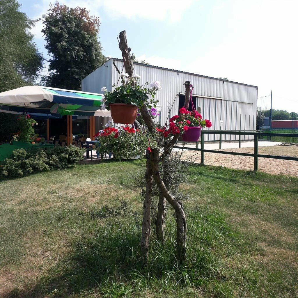 Spor kulüpleri Çatalay Binicilik Atlı Spor Kulübü, İstanbul, foto