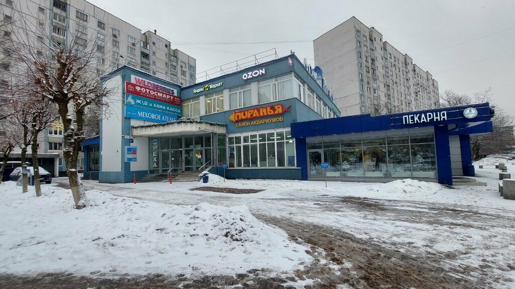 Optik Mayra, Koroliov, foto