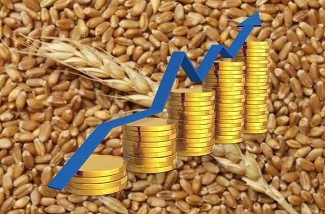 Devlet kurumları ve bakanlıklar State Support Fund for Agriculture, Taşkent, foto